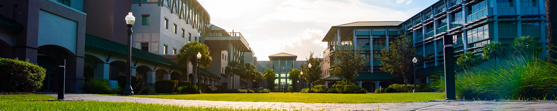 University Advancement